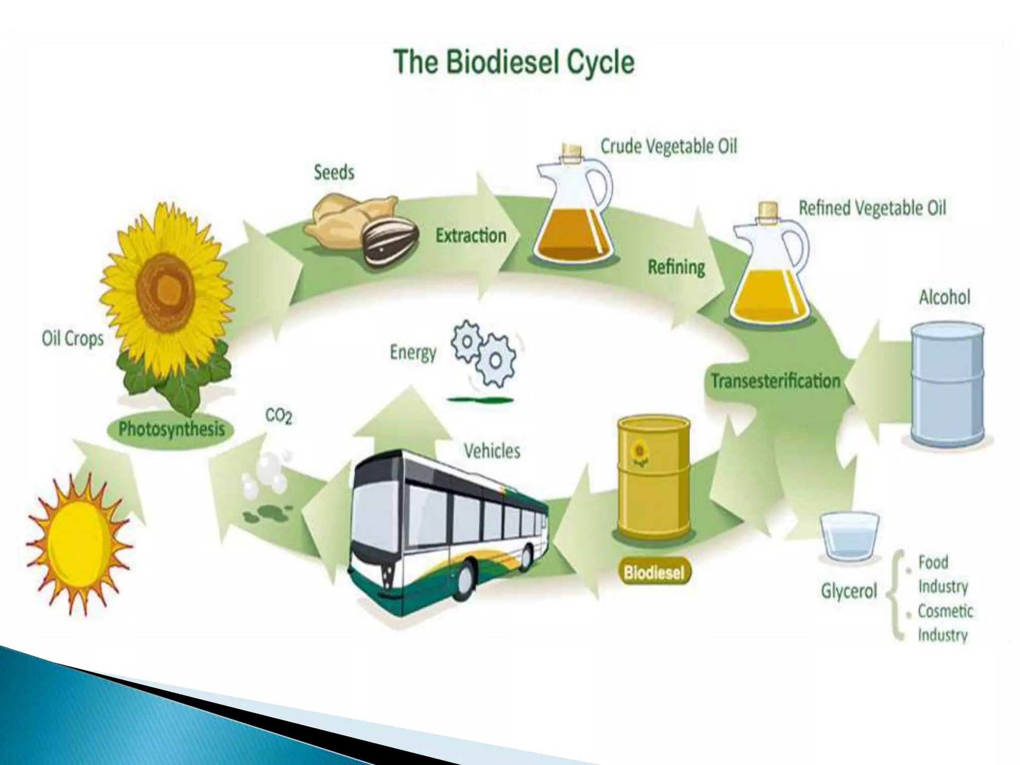 Biodiesel | PPTX