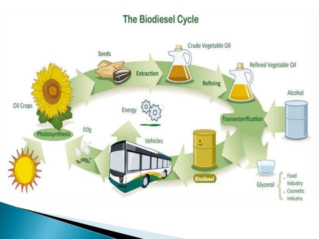 Biodiesel | PPTX