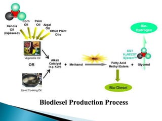 Biodiesel | PPTX