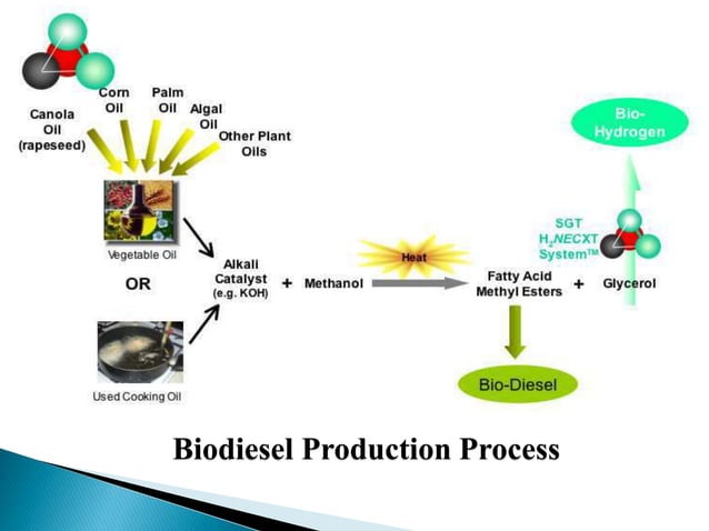 Biodiesel | PPTX