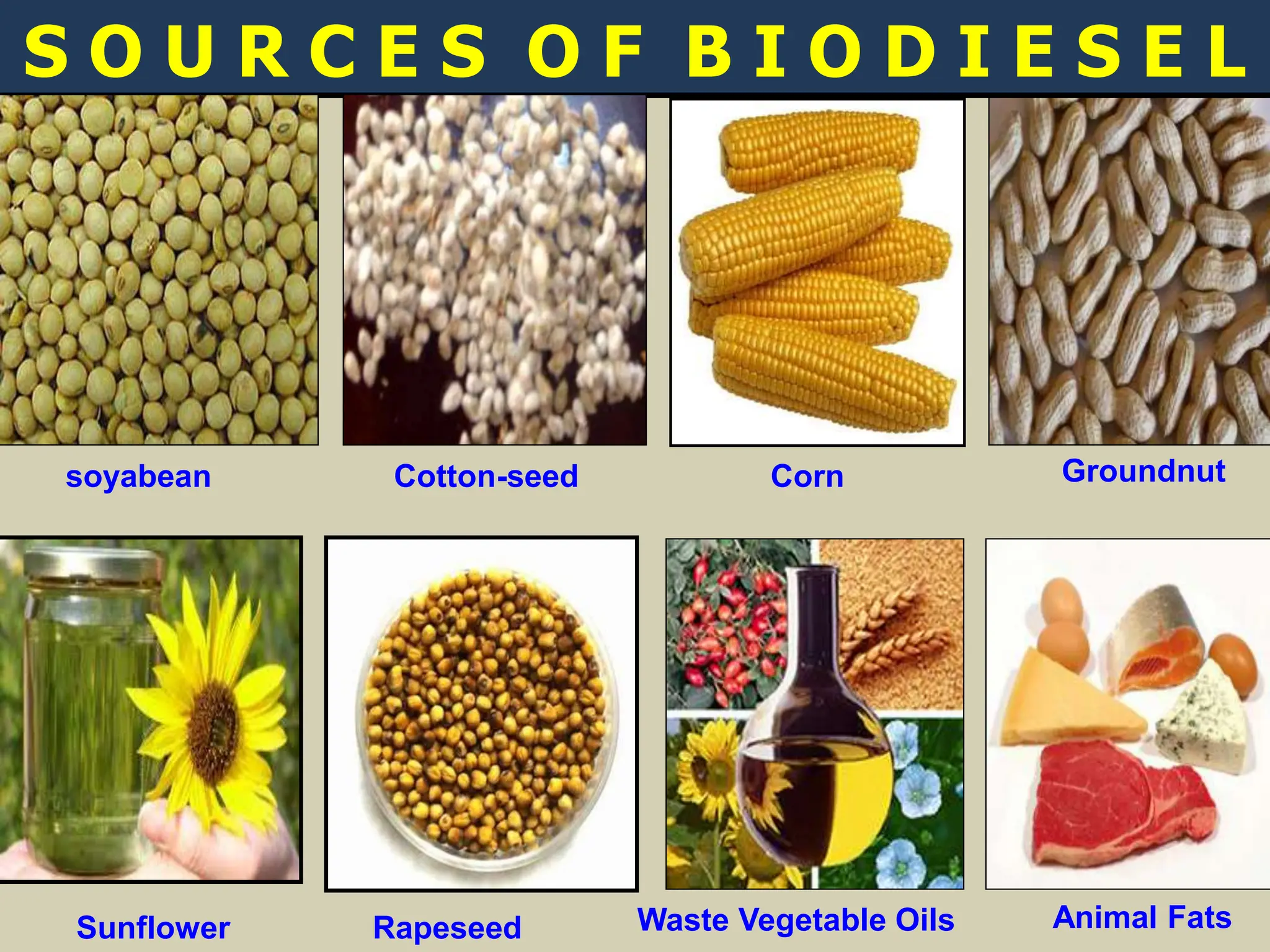 Biodiesel production | history of feedstock | PPT