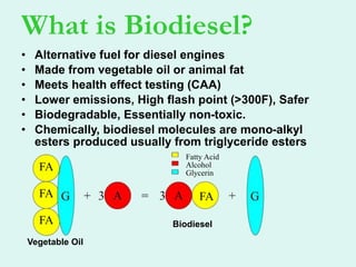 biodiesel-7666-LWLnusk.ppt
