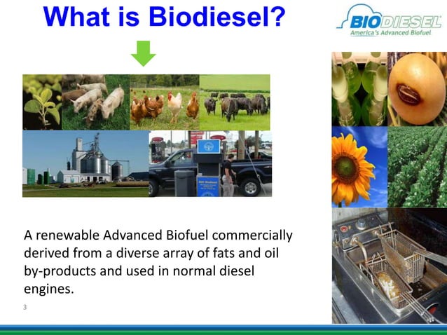 Biodiesel Industry and Technical Overview | PPT