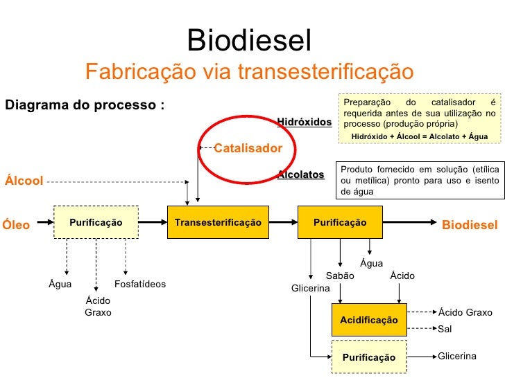 Biodiesel 1
