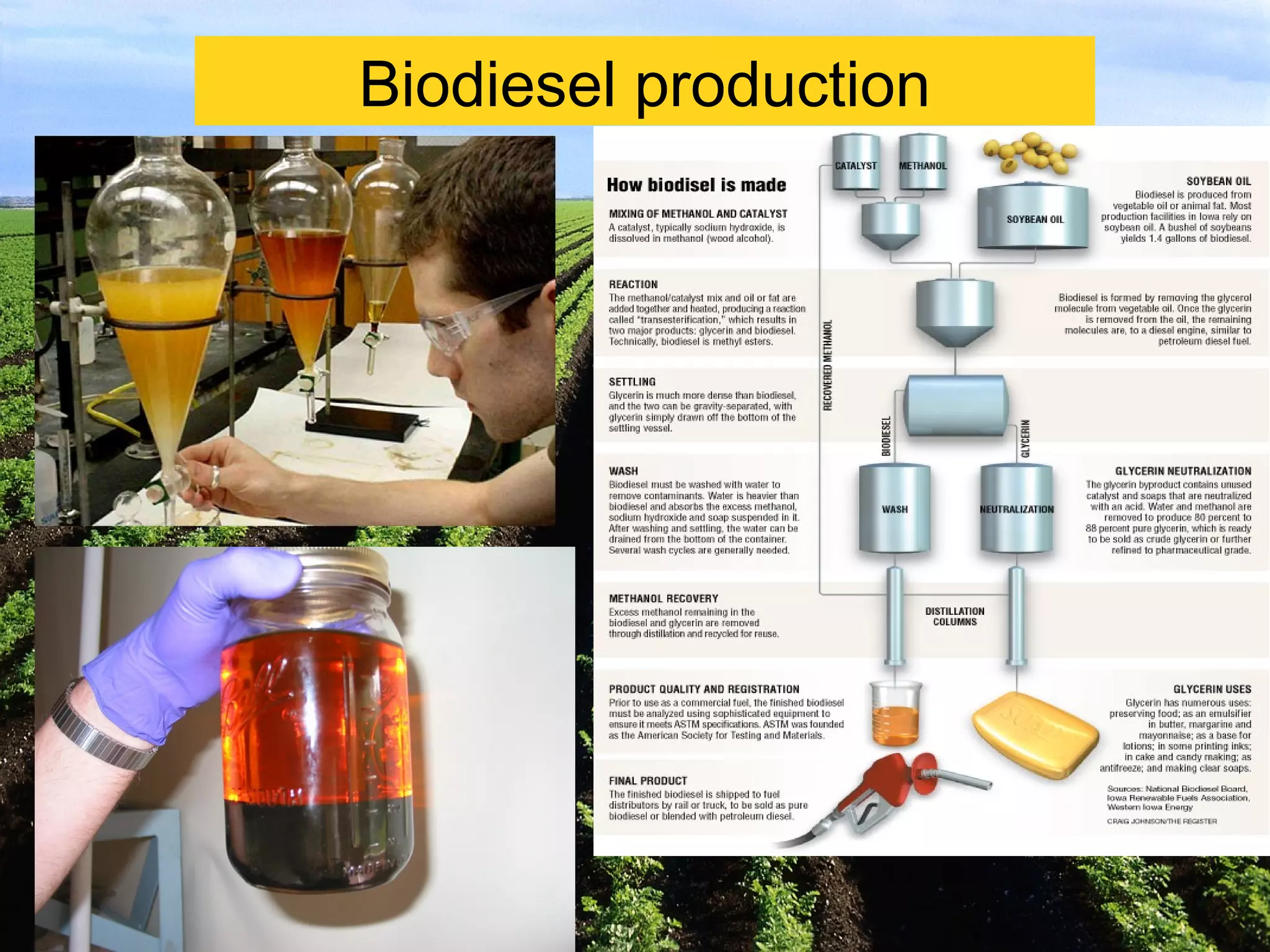 Biodiesel ang | PPT