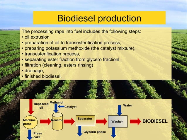 Biodiesel ang | PPT