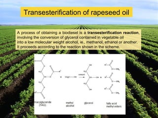 Biodiesel ang | PPT