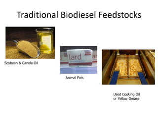 Understanding Biodiesel Chemistry | PPTX