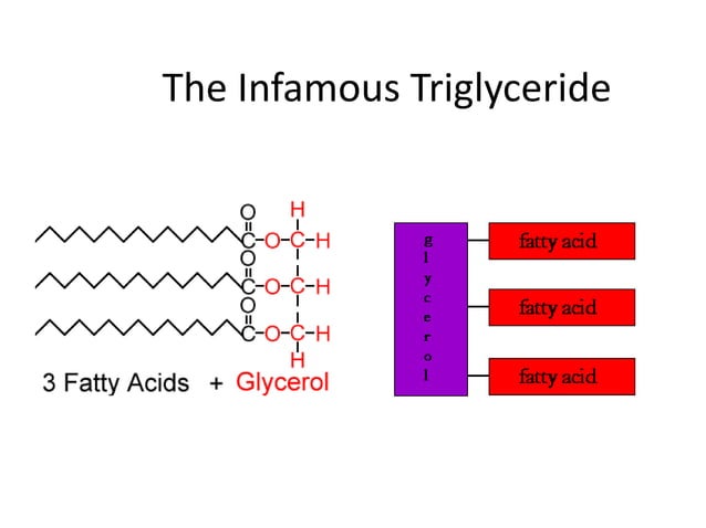 Understanding Biodiesel Chemistry | PPTX