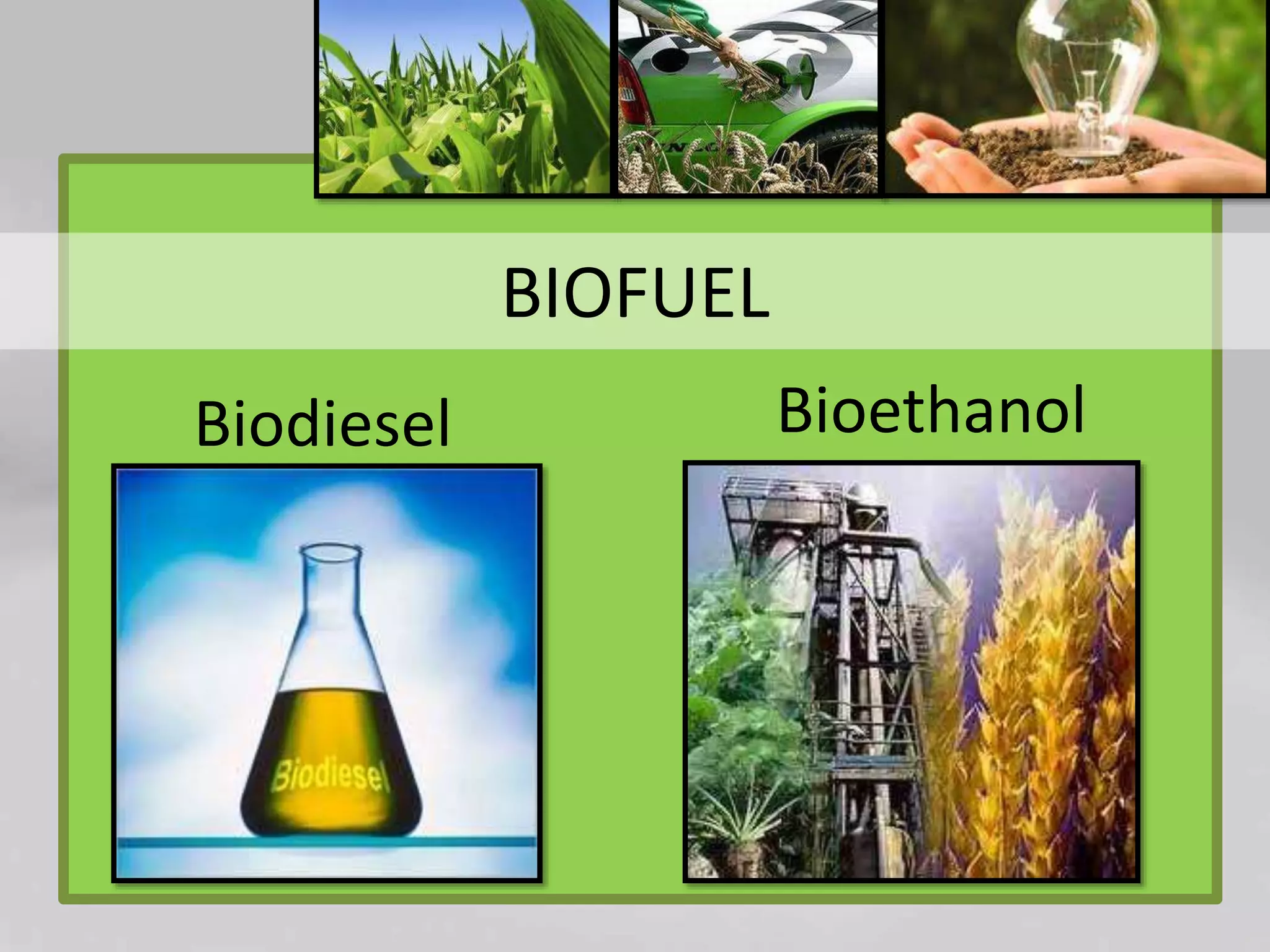 Biodiesel_dan_bioethanol.ppt