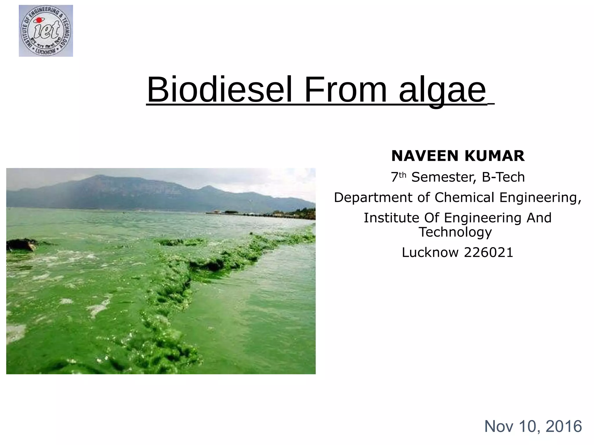 Biodiesel from algae | PPT
