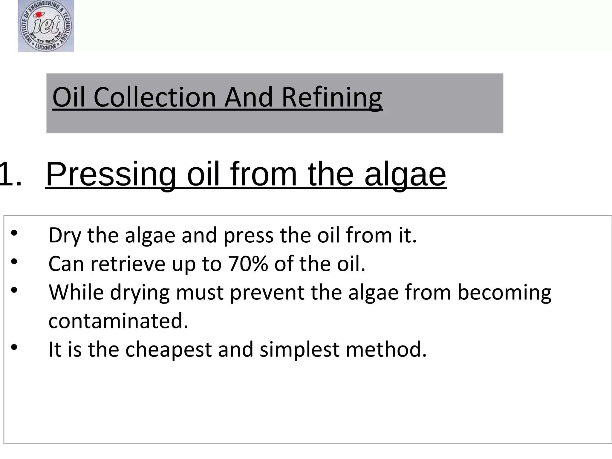Biodiesel from algae | PPT