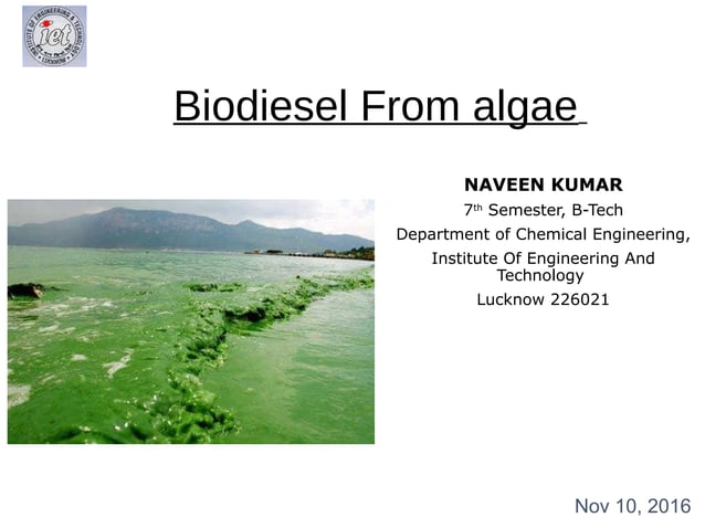 Biodiesel from algae | PPT