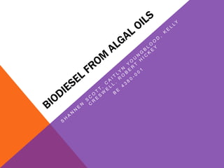 Biodiesel from algal oils | PPTX