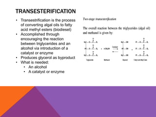 Biodiesel from algal oils | PPTX