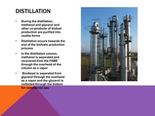 Biodiesel from algal oils | PPTX