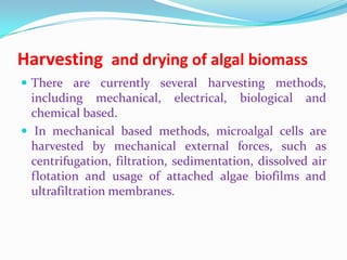 Biodiesel from microalgae production methods - a review | PPTX