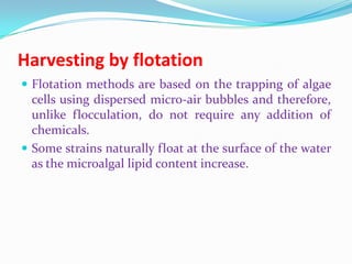 Biodiesel from microalgae production methods - a review | PPTX