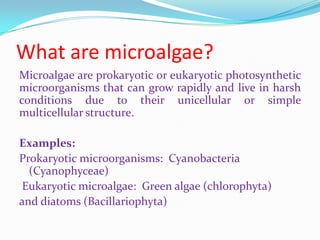 Biodiesel from microalgae production methods - a review | PPTX