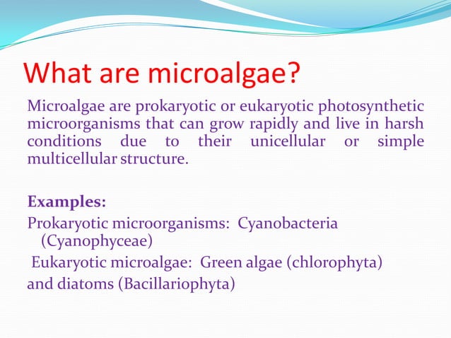 Biodiesel from microalgae production methods - a review | PPTX