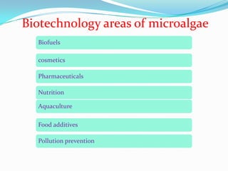 Biodiesel from microalgae production methods - a review | PPTX