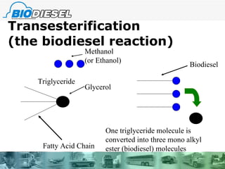 Biodiesel fuel quality | PPT