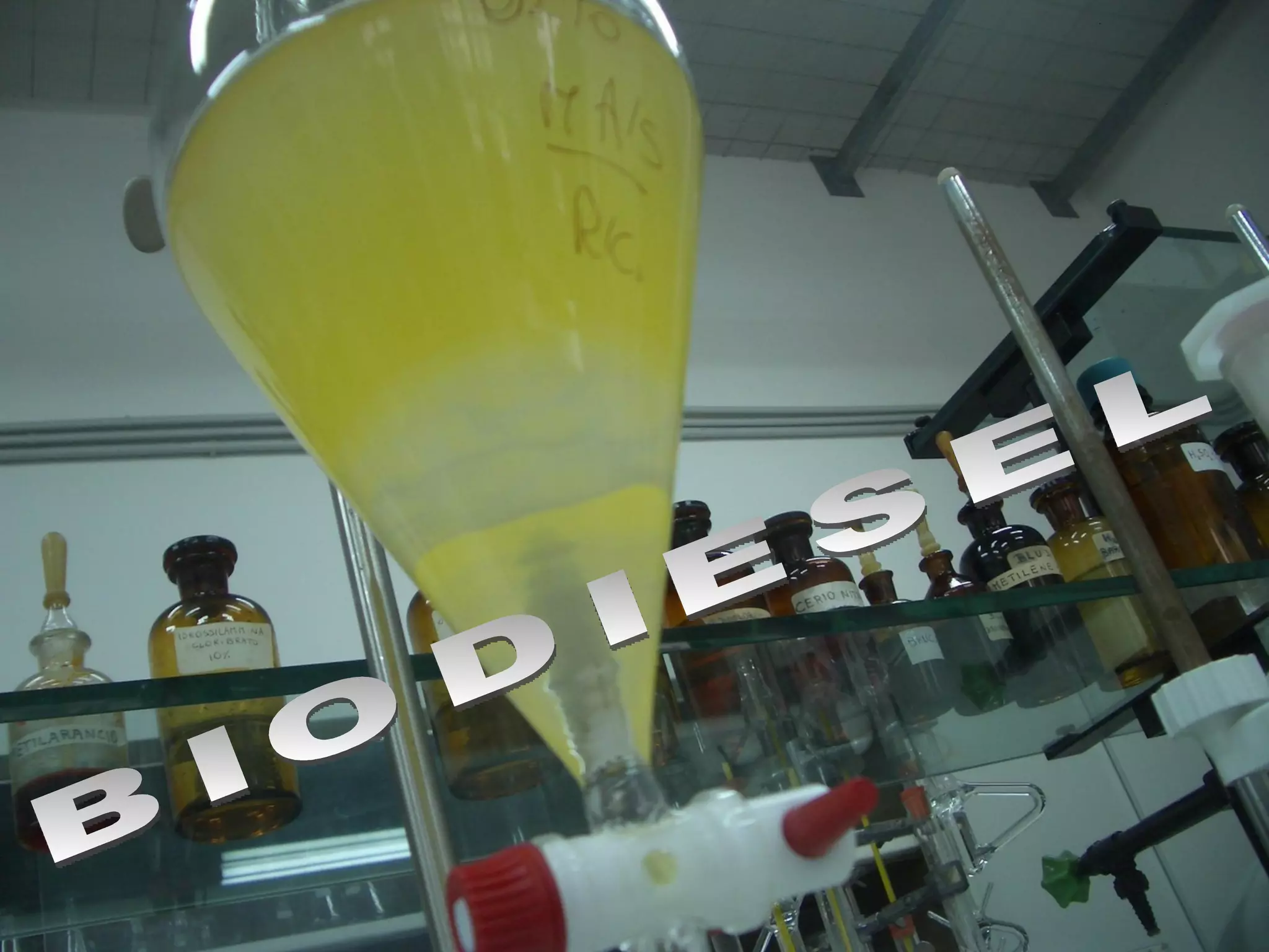 Biodiesel In Laboratorio | PPS