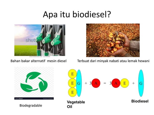 Biodiesel sebagai energi alternatif oengganti minyak bumi..pptx