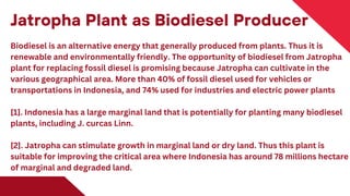 Biodiesel Plant_20240311_190450_0000.pdf