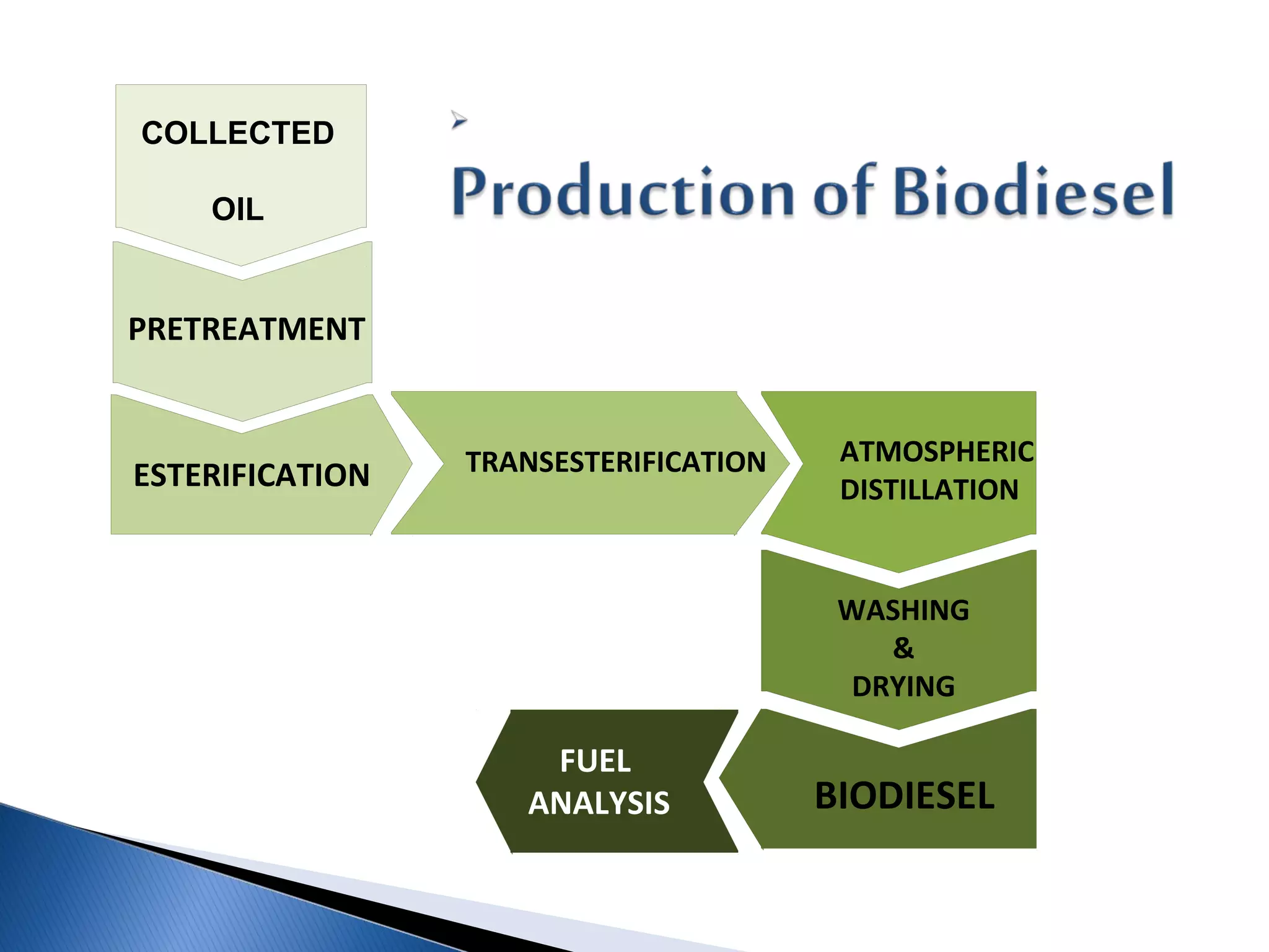 Biodiesel presentation1 | PPT