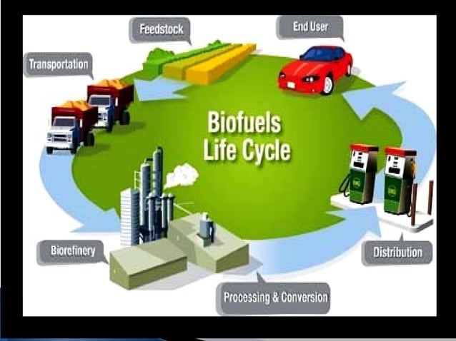 Biodiesel presentation1 | PPT