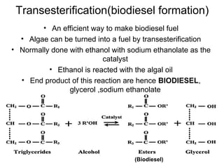 Biodiesel production | PPT