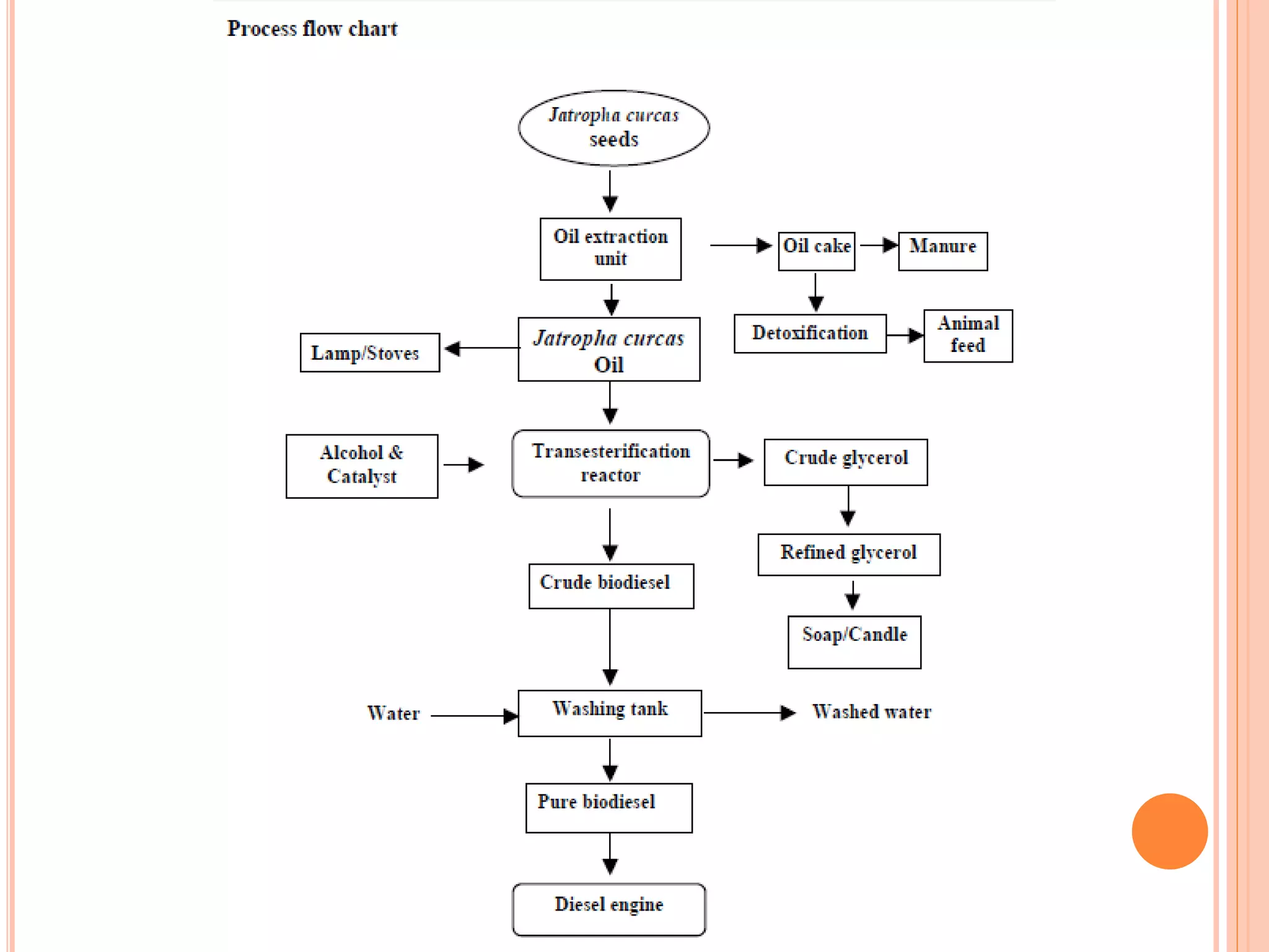 Biodiesel production | PDF