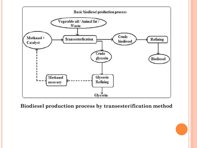 Biodiesel production | PDF | Chemistry | Science