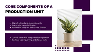 High-Performance Biodiesel Production Equipment for Modern Biofuel ...