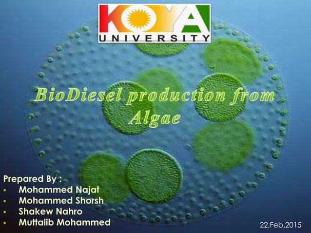 BioDiesel production from algae | PPTX | Chemistry | Science