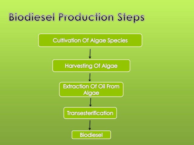 BioDiesel production from algae | PPTX | Chemistry | Science