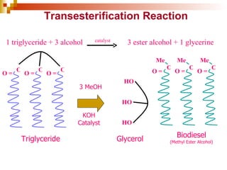 Biodiesel Production Technology & Feedstocks For India | PPT