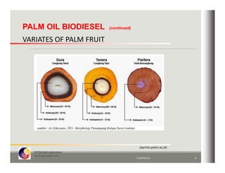 Biodiesel Vs Fossil Fuel - Endri | PDF | Chemistry | Science