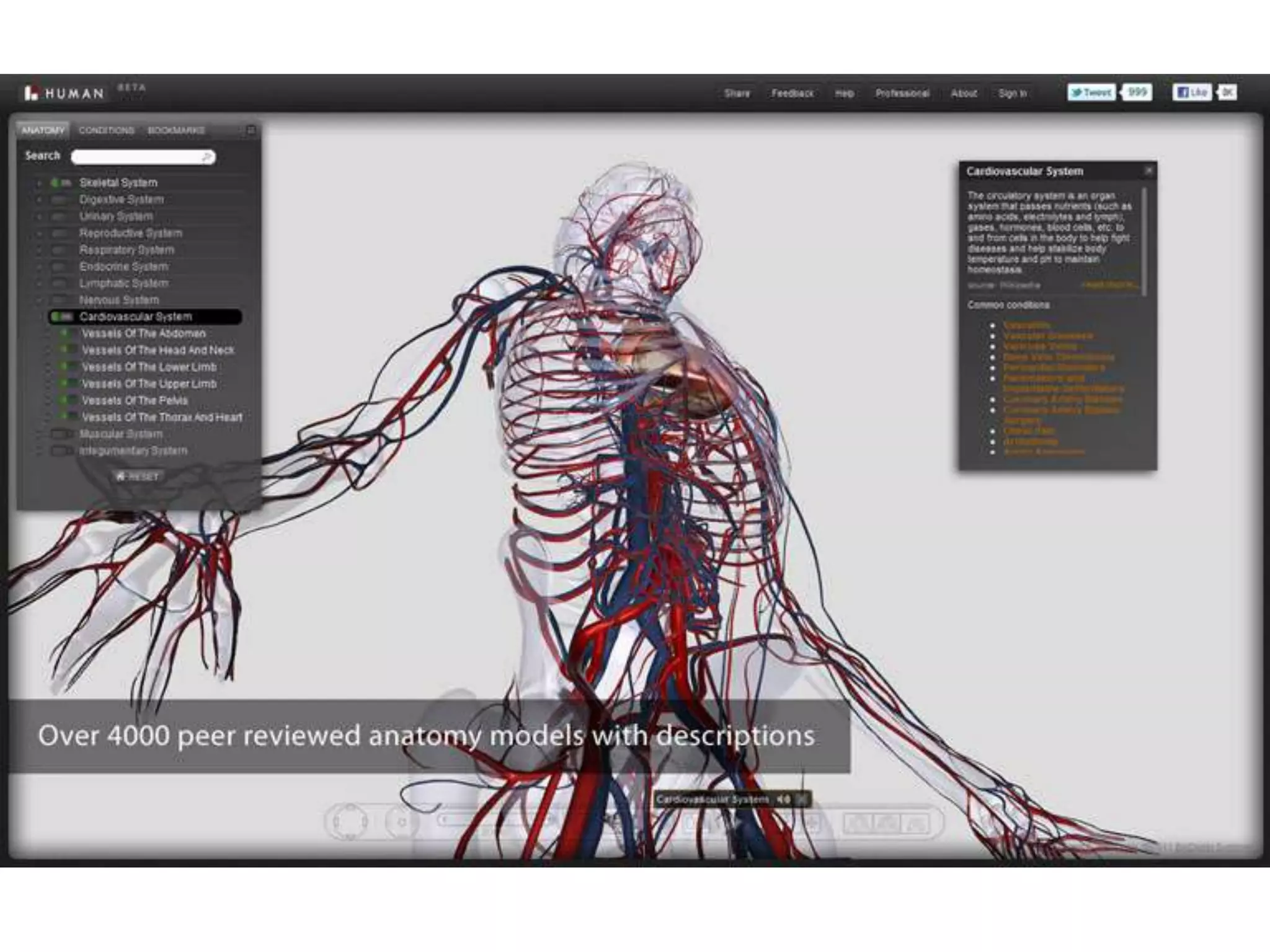 BioDigitalSystems Human Body | PPTX