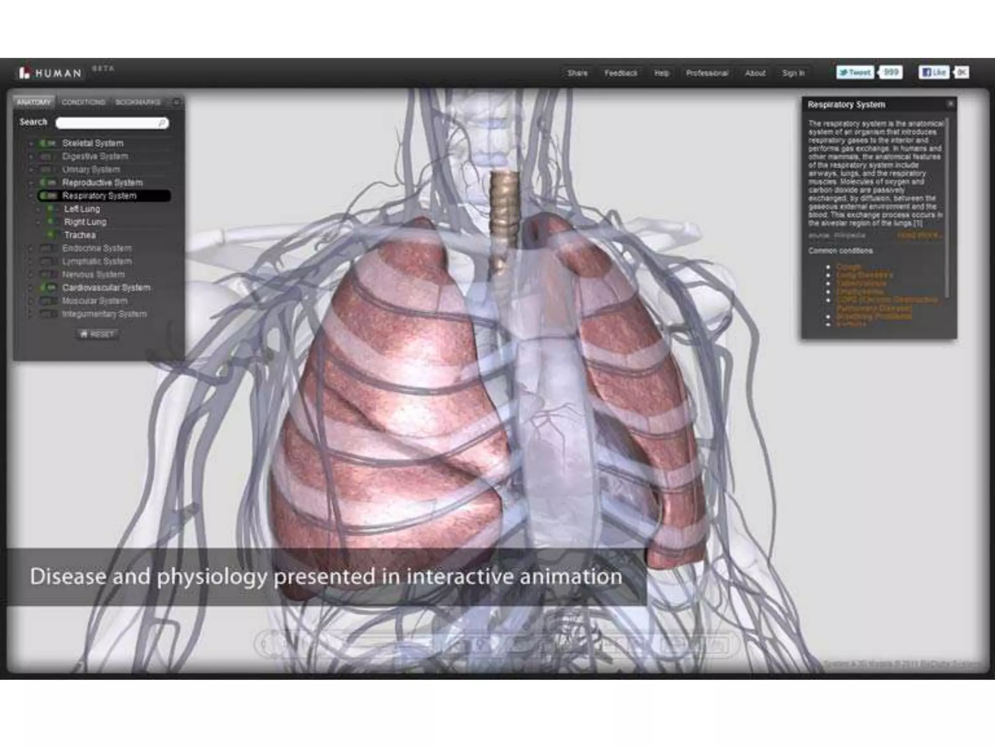 BioDigitalSystems Human Body | PPTX