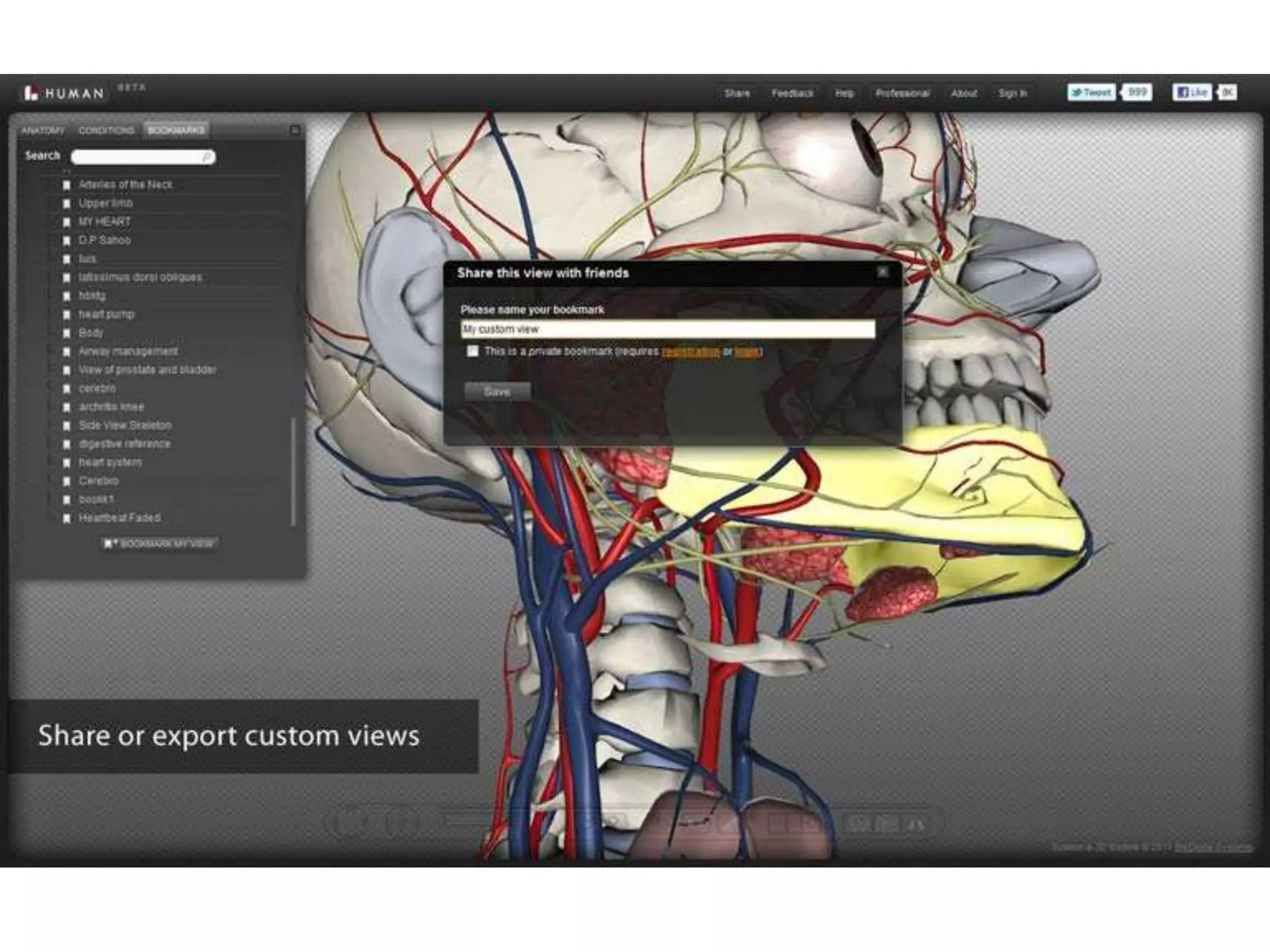 BioDigitalSystems Human Body | PPTX
