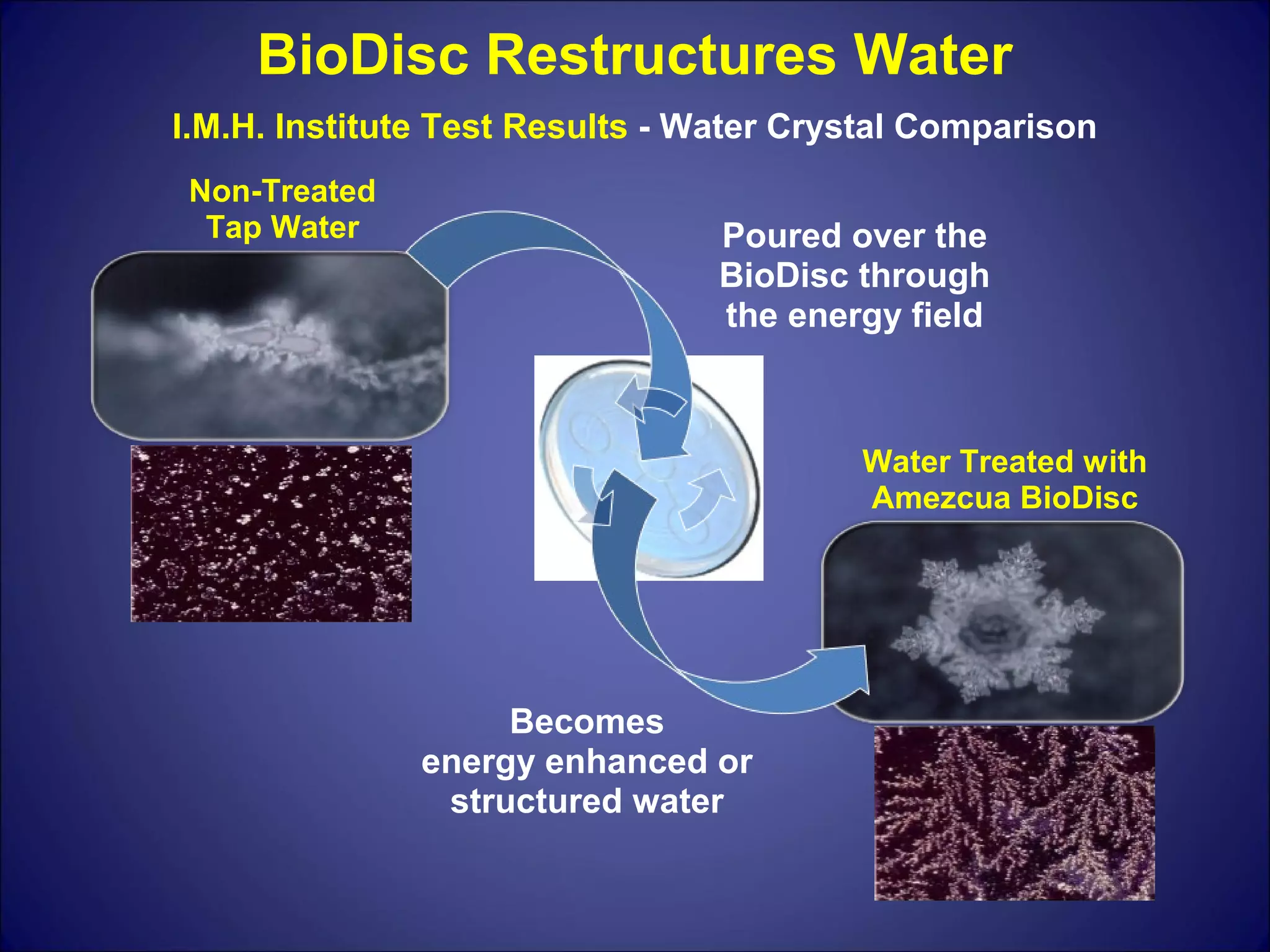 Biodisc - The Inseperable Essential | PPT