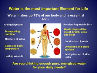 Biodisc - The Inseperable Essential | PPT