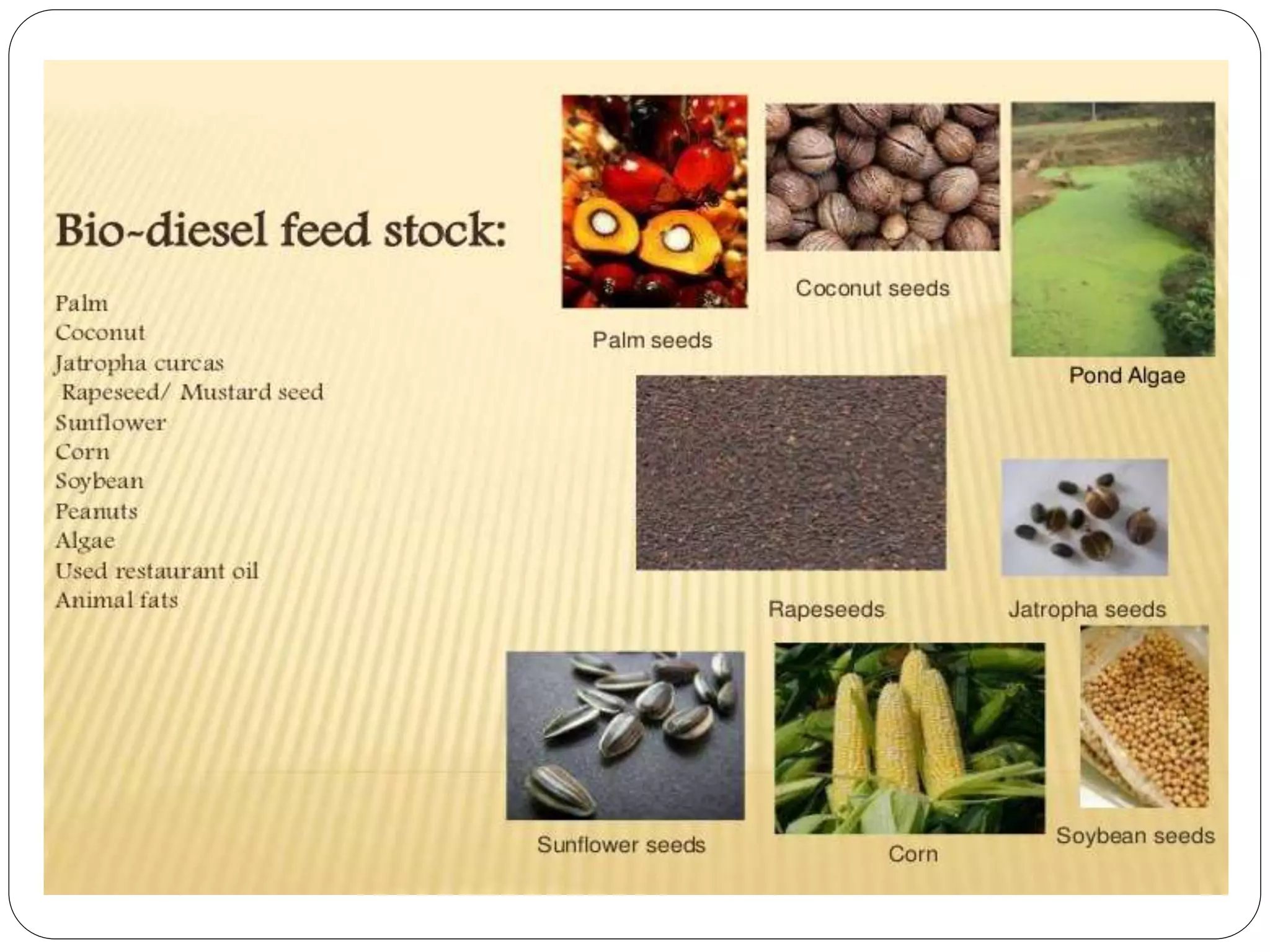 Biodiesel extraction | PPTX