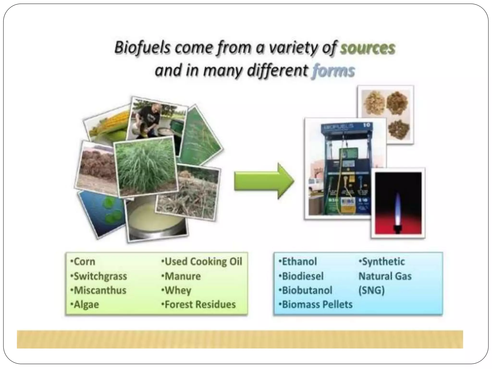 Biodiesel extraction | PPTX