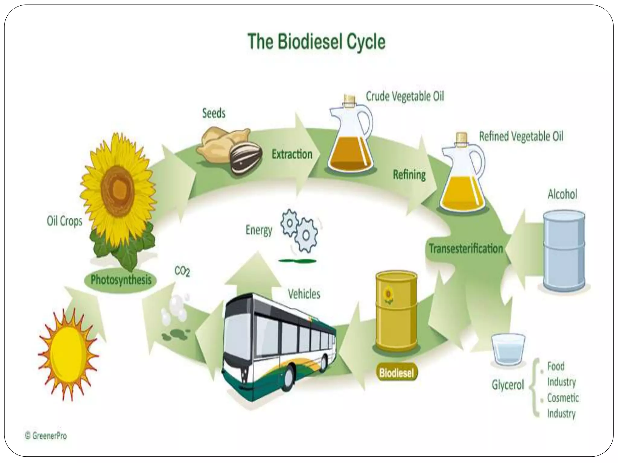 Biodiesel extraction | PPTX