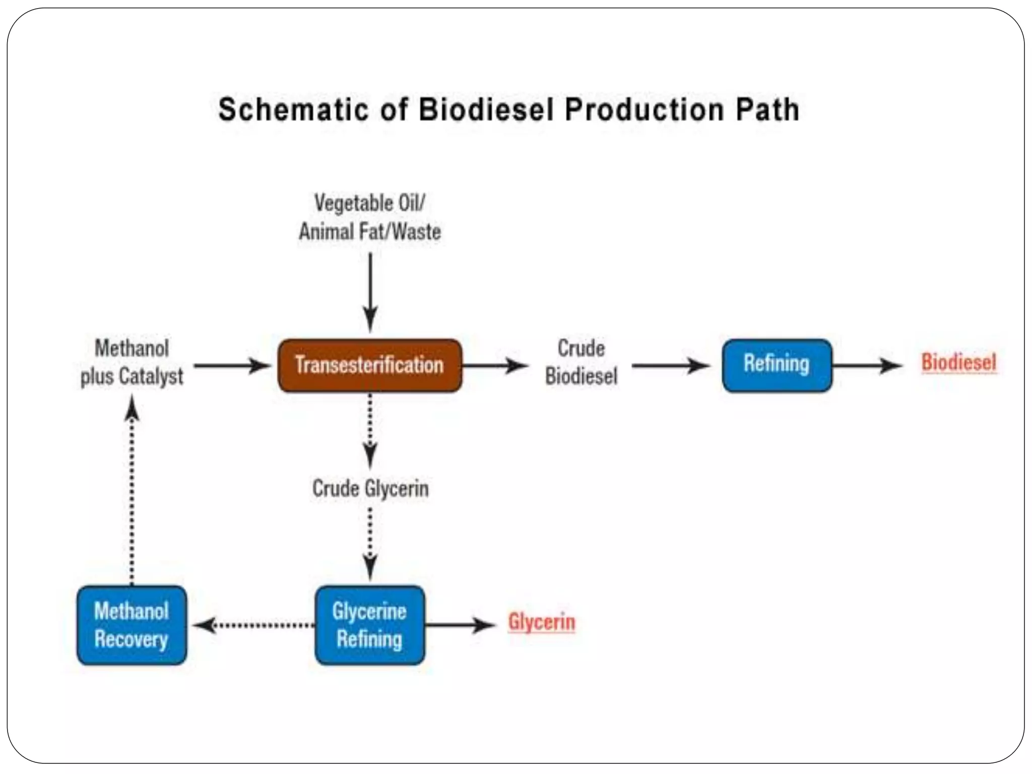 Biodiesel extraction | PPTX