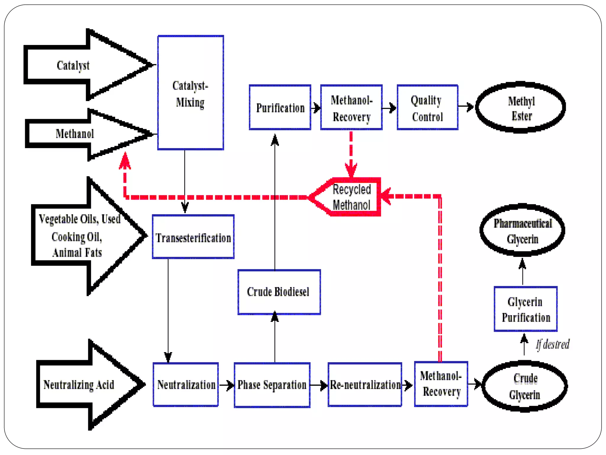 Biodiesel extraction | PPTX