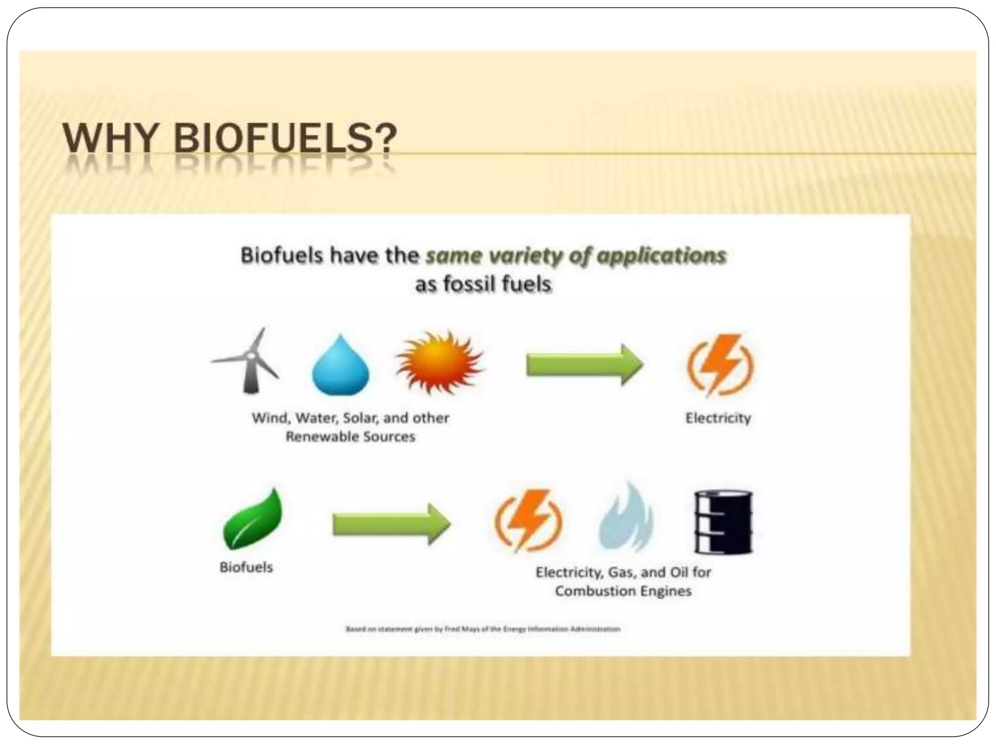 Biodiesel extraction | PPTX